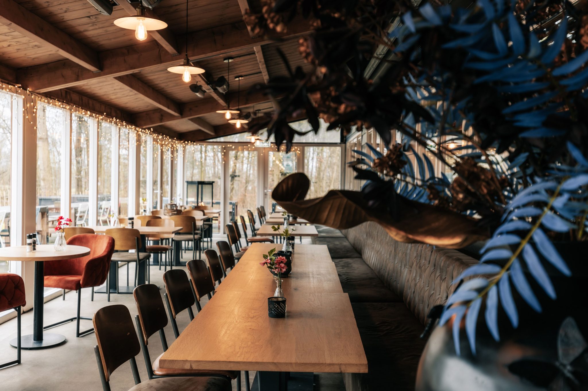 Tasman. - Genieten in Rhoon